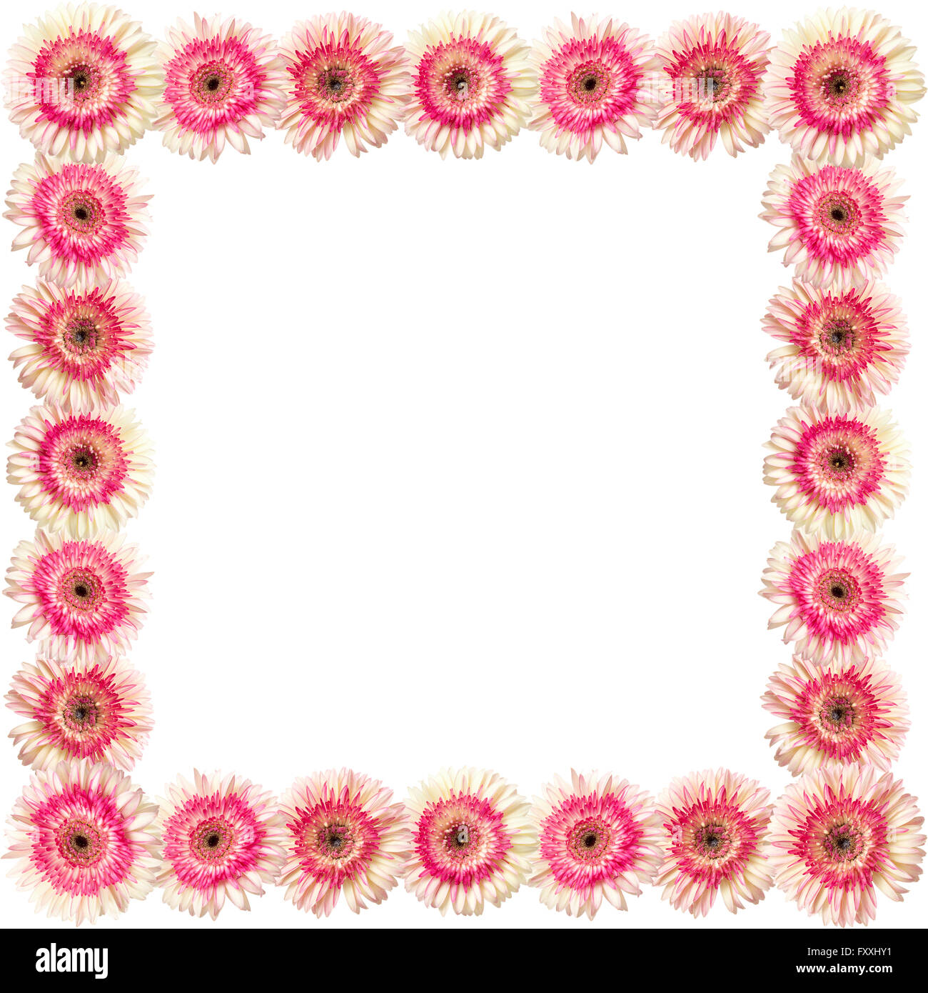 Frame magenta hi-res stock photography and images - Alamy