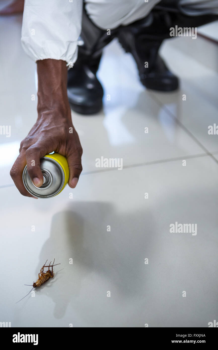 Pest control man spraying pesticide on a cockroach Stock Photo - Alamy