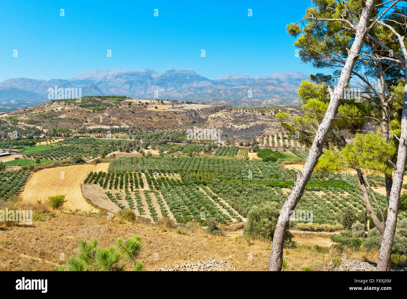 View of Messara plain from the hill of Phaistos. Crete, Greece Stock ...