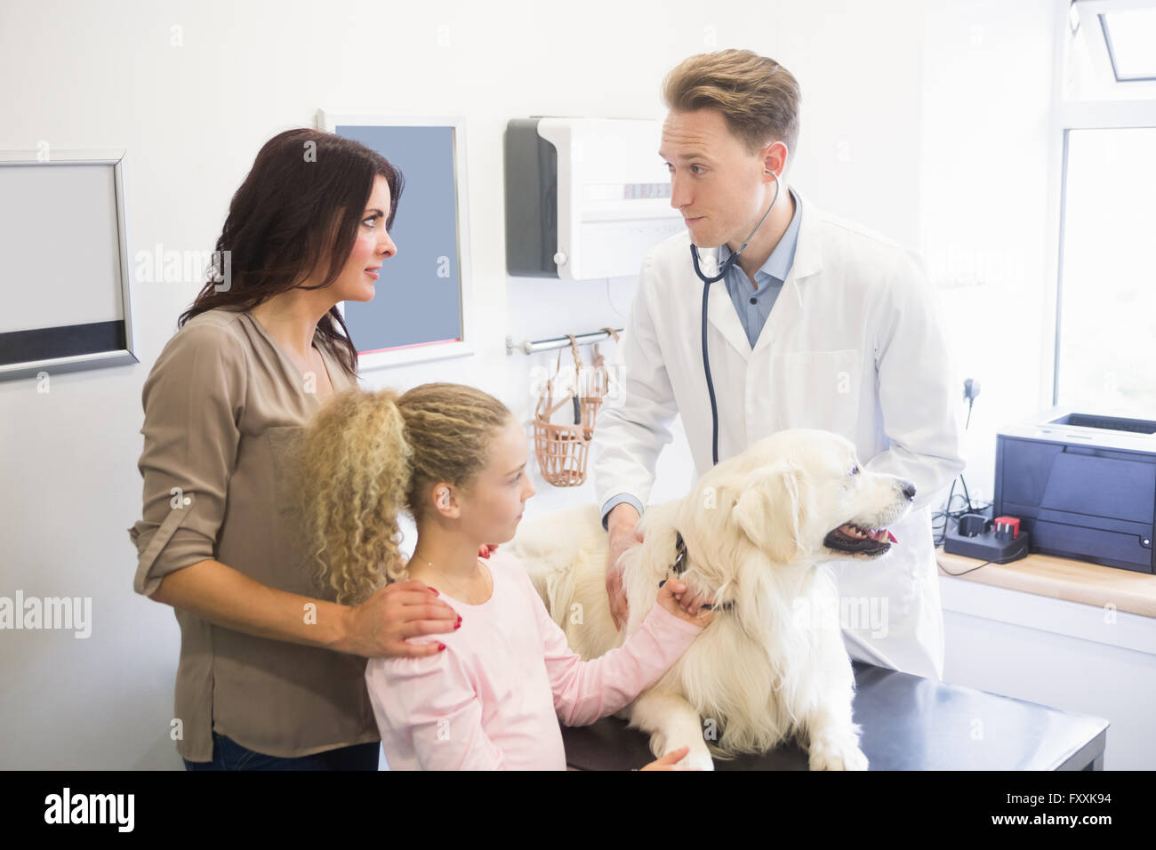 Veterinarian checking dog with stethoscope Stock Photo - Alamy