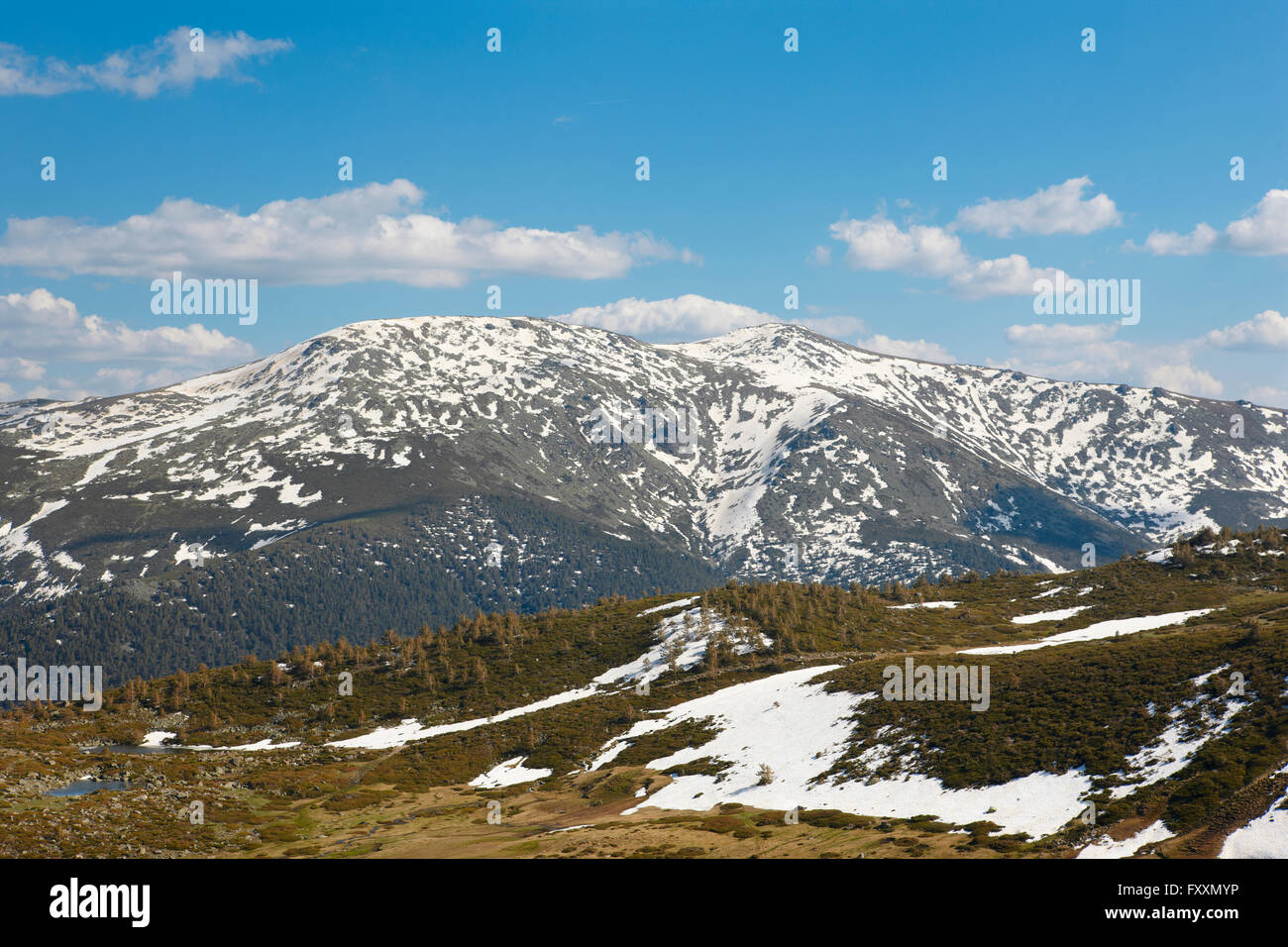 Landscape with mountains, forest and snow. Horizontal format Stock ...