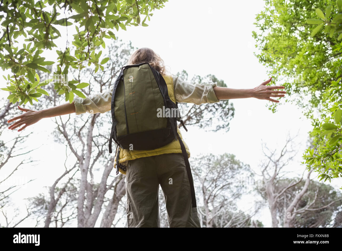 Stretched hi-res stock photography and images - Alamy