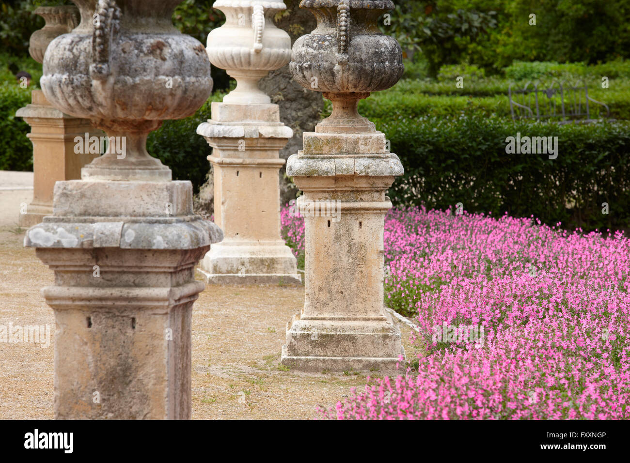 Garden with purple flowers, bushes and columns. Horizontal Stock Photo ...