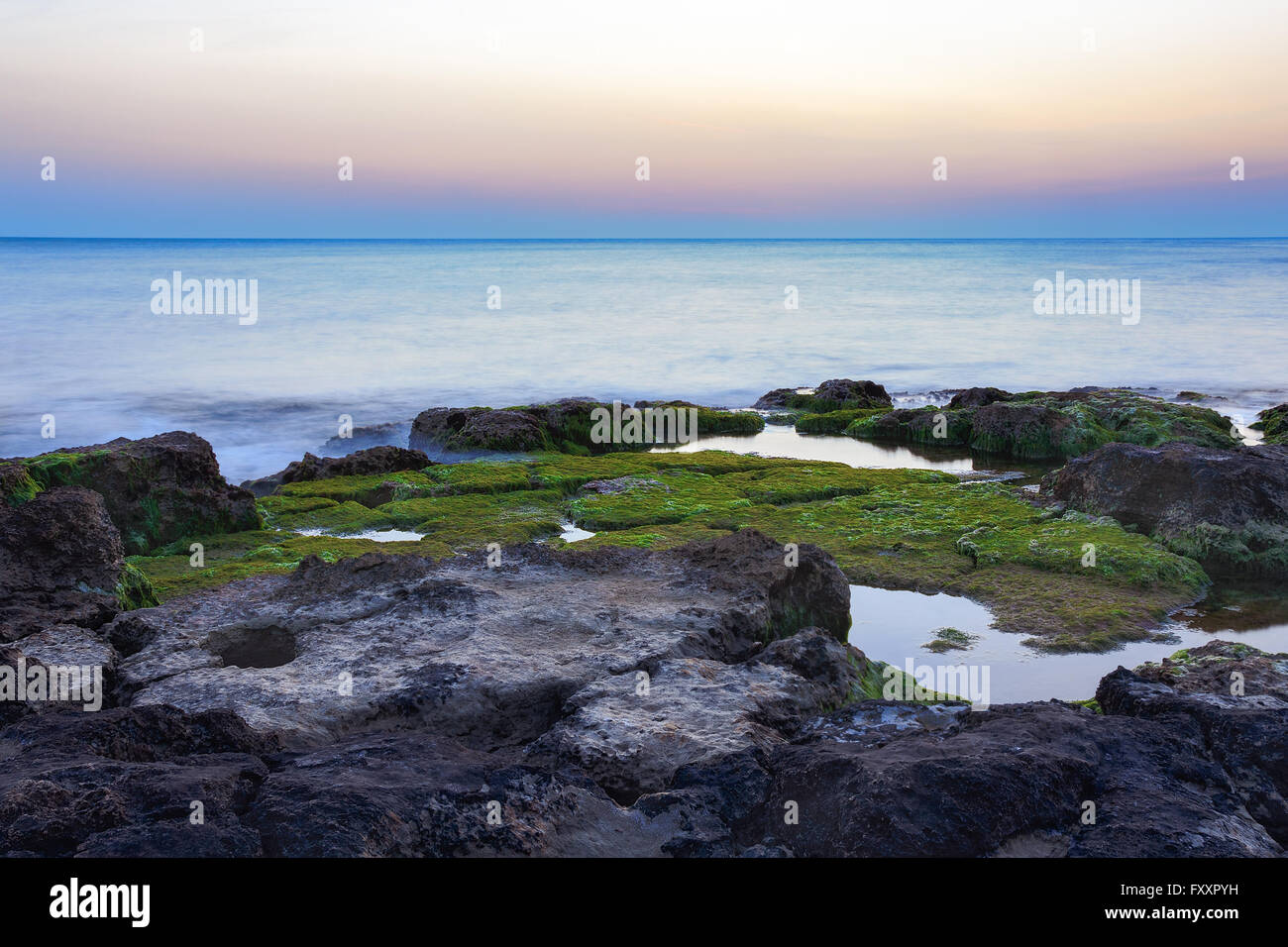 Sunset at Punta Secca Beach with rocks and green seaweeds in Santa ...