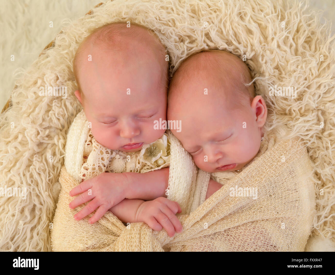 Adorable newborn identical twin baby girls sleeping in a soft basket ...