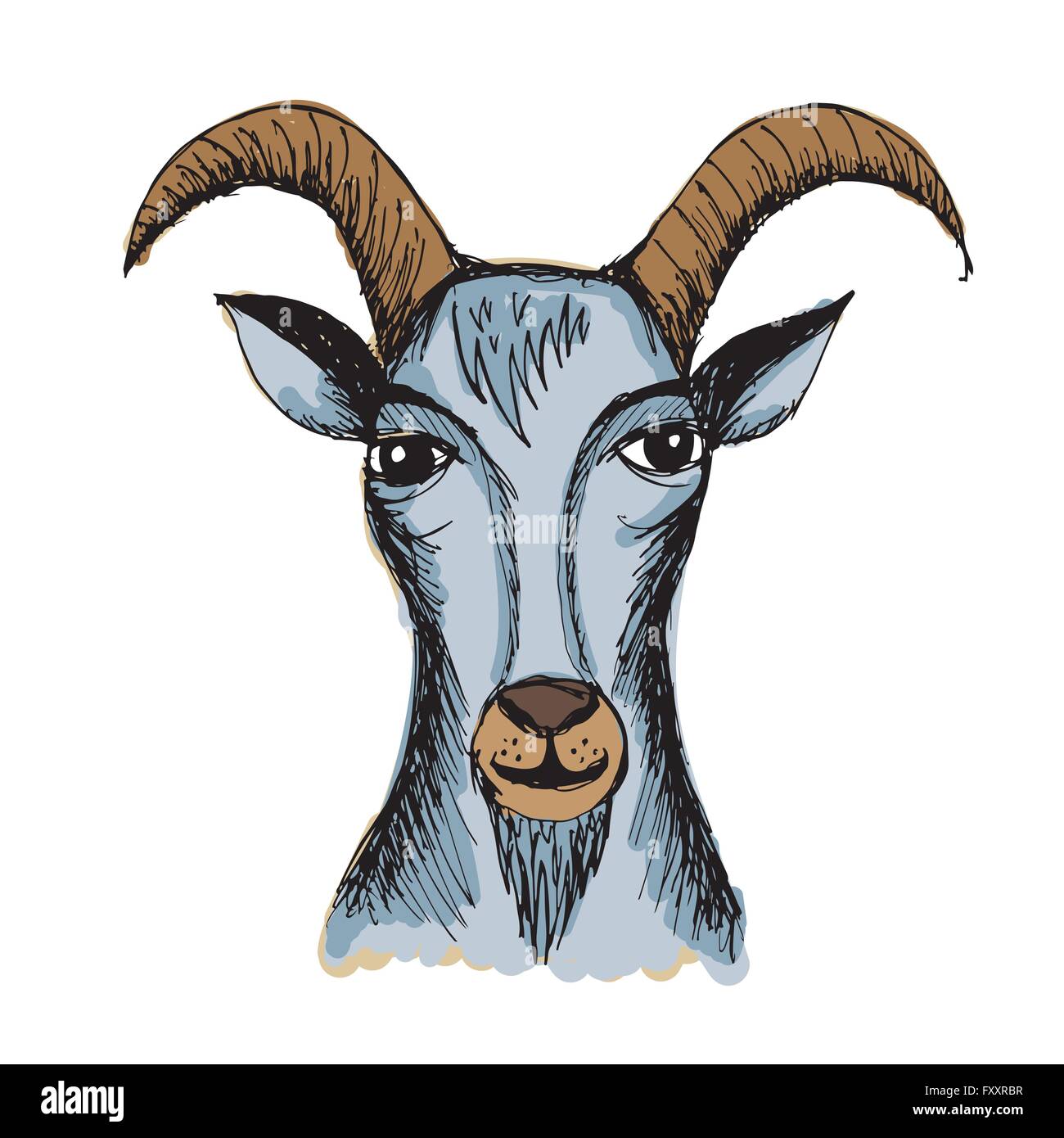 Hand drawn Goat Stock Vector Image & Art - Alamy