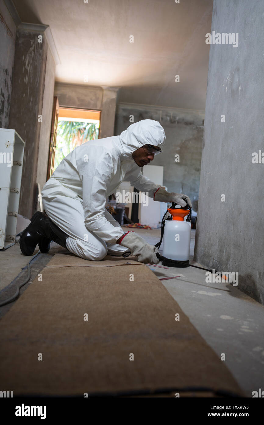 Man doing pest control hi-res stock photography and images - Alamy