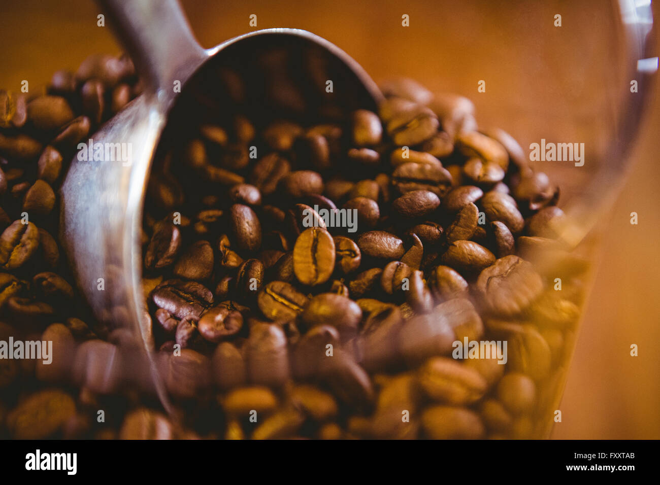 Close up of coffee beans Stock Photo - Alamy