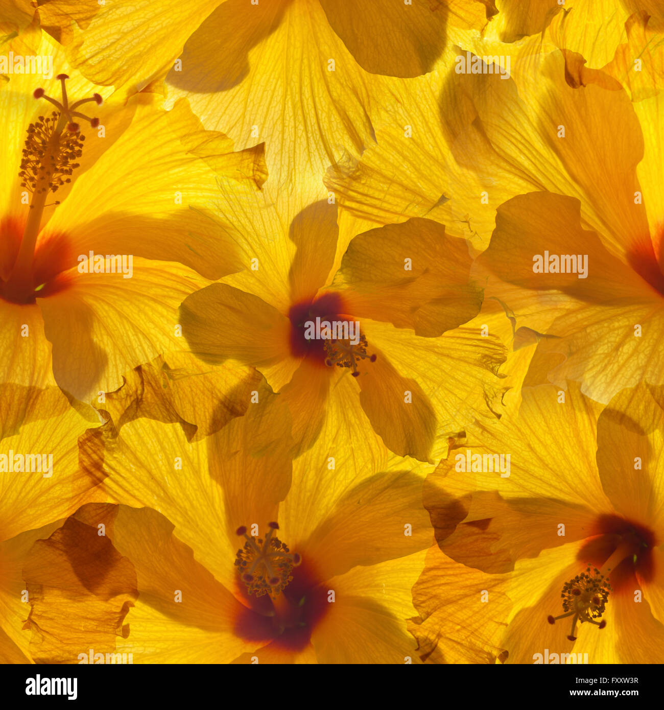 Repeatable background hi-res stock photography and images - Alamy