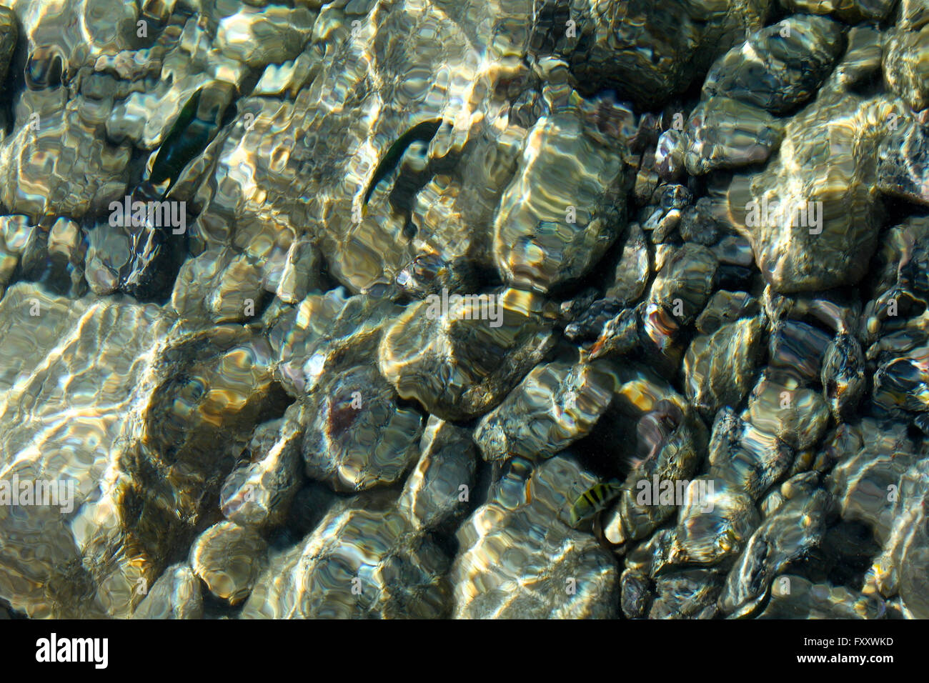 rocks under the water on the ocean, the archipelago of Koh Lipe ...