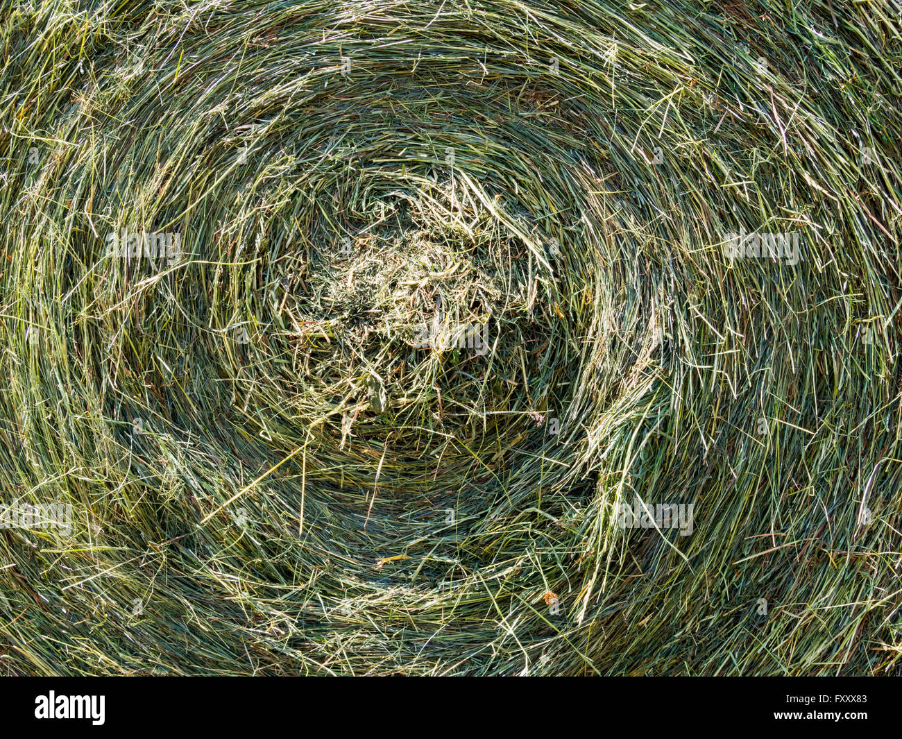 Grass roll hi-res stock photography and images - Alamy