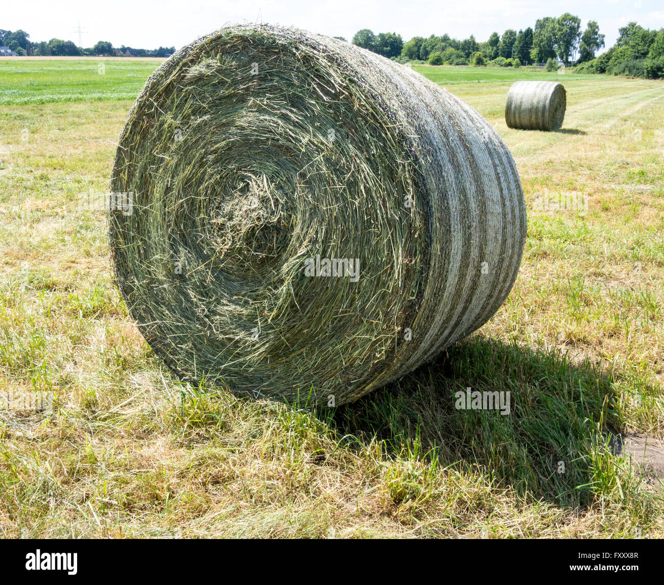 Hay roll hi-res stock photography and images - Alamy