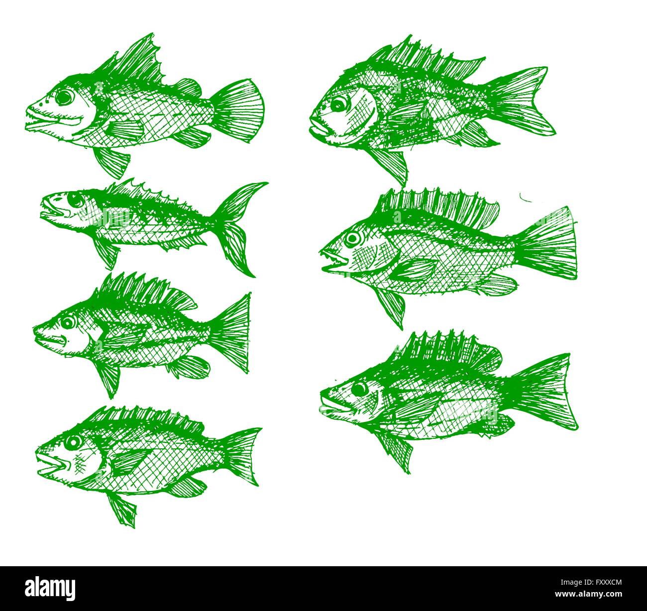 fish in Illustration Stock Vector Image & Art - Alamy