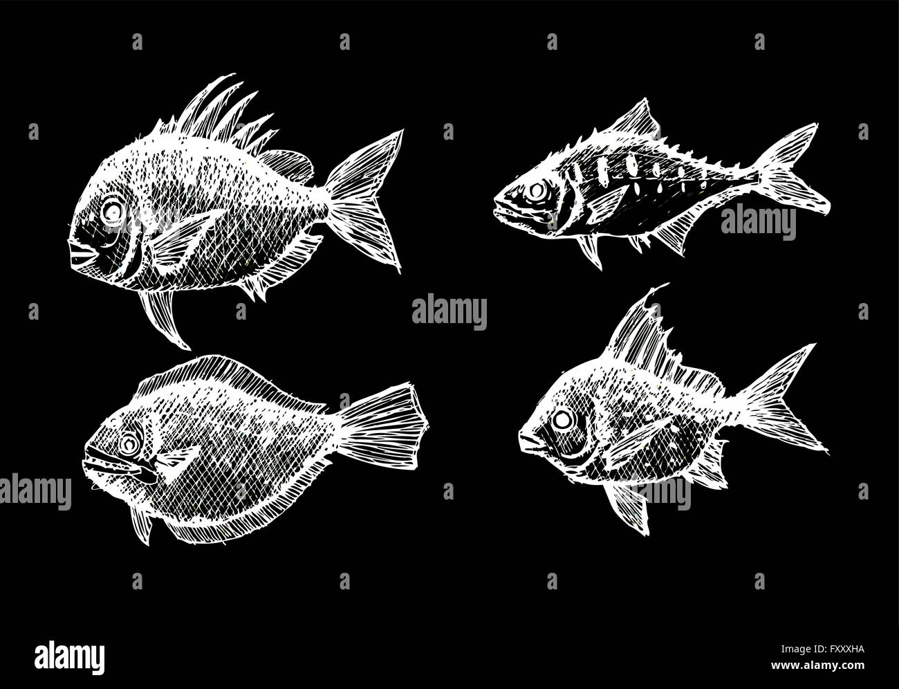 fish in Illustration Stock Vector Image & Art - Alamy