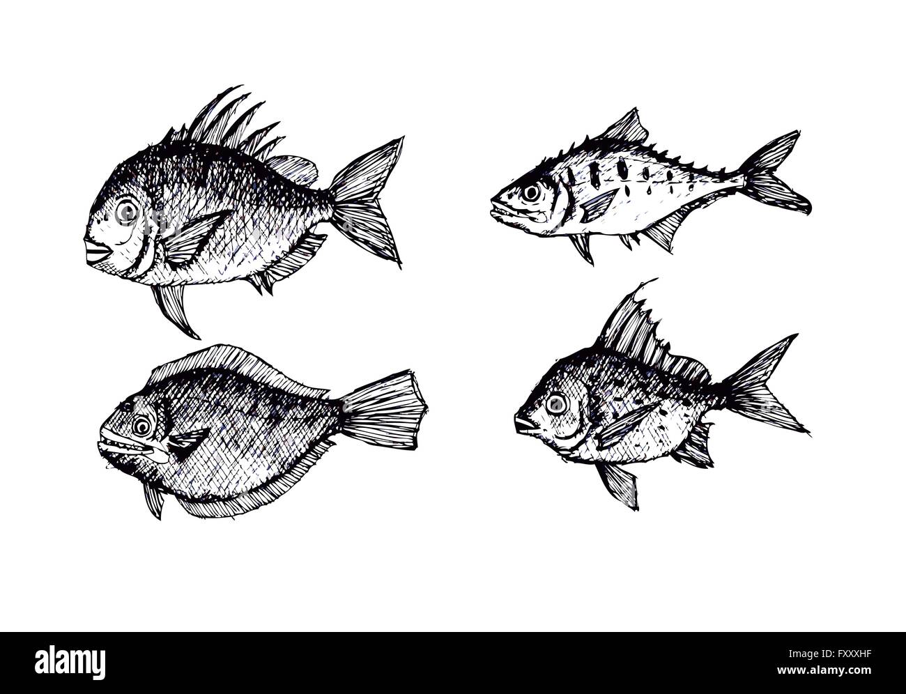 fish in Illustration Stock Vector Image & Art - Alamy