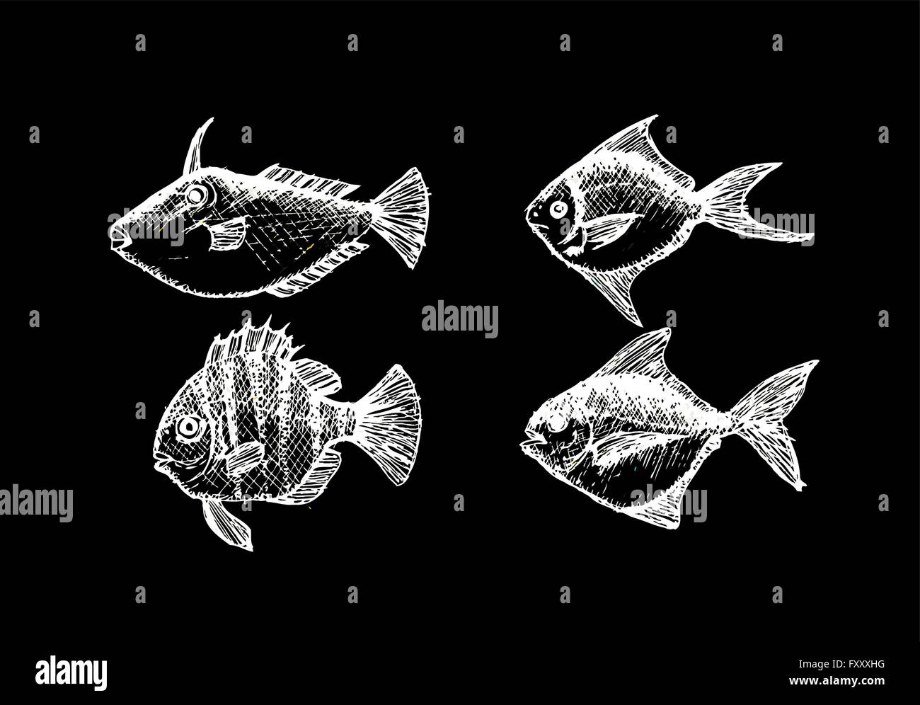 fish in Illustration Stock Vector Image & Art - Alamy