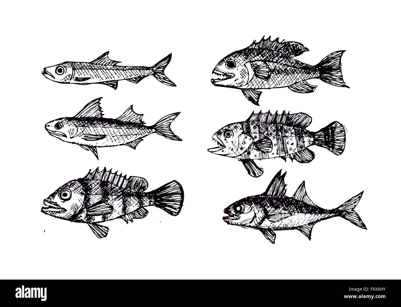 fish in Illustration Stock Vector Image & Art - Alamy