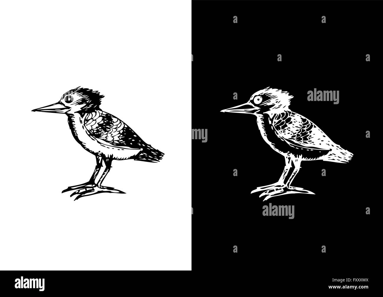 birds design bird collection Stock Vector Image & Art - Alamy