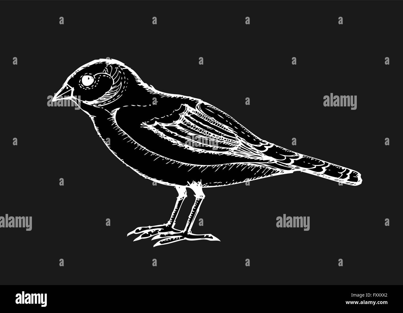 birds design bird collection Stock Vector Image & Art - Alamy