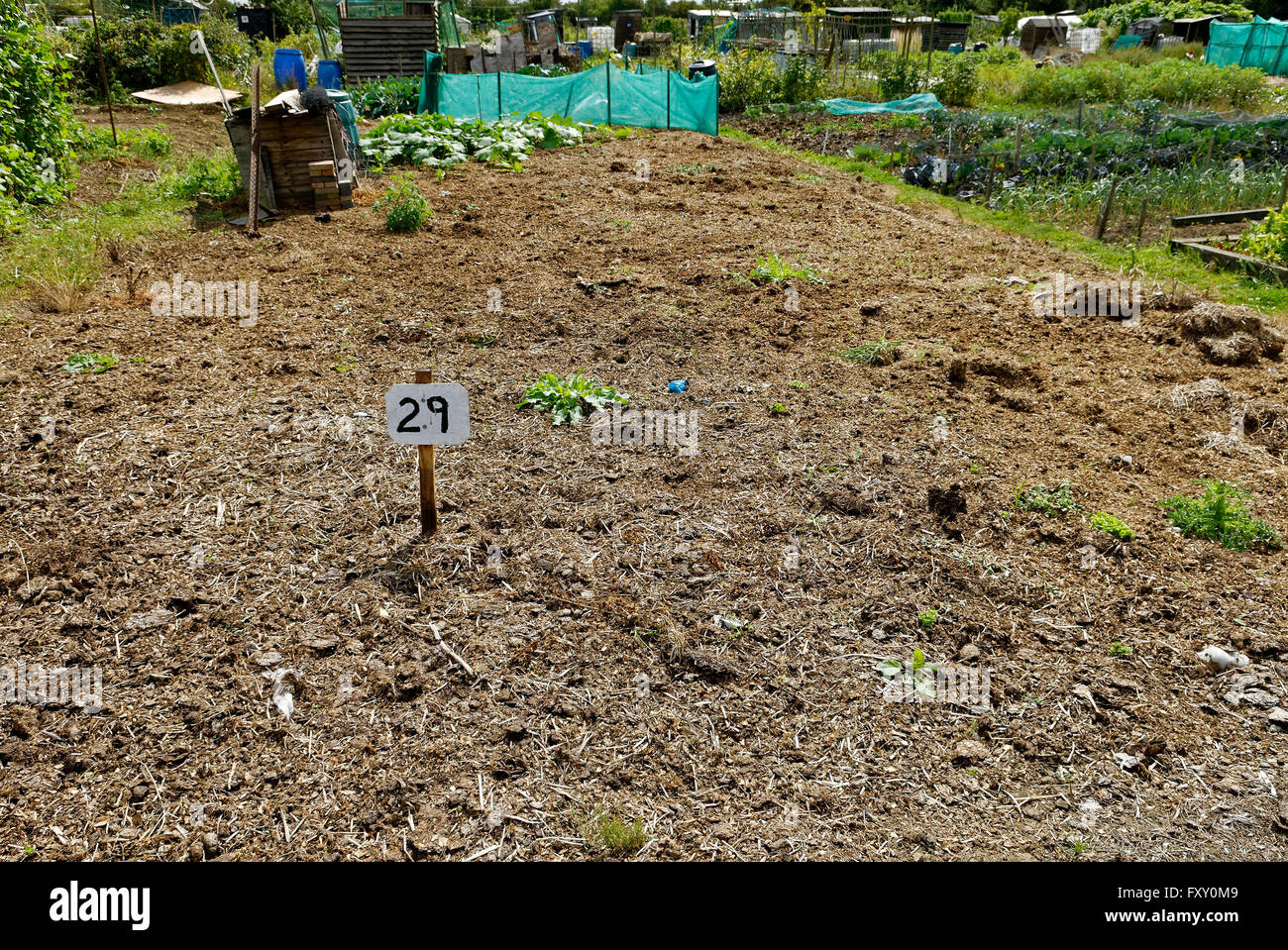 Vacant Plot, Allotment Garden where land is made available for personal ...