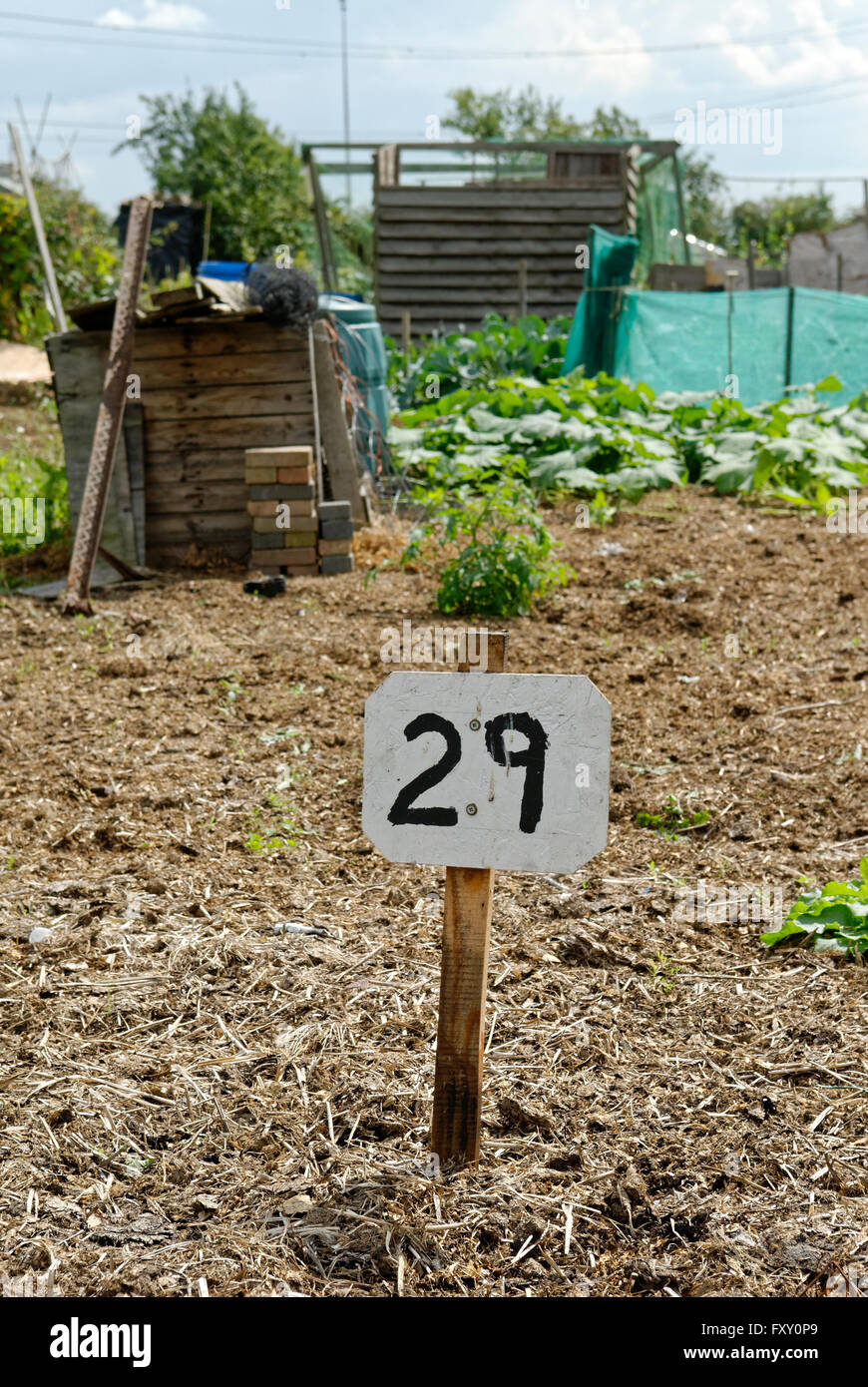 Vacant Plot, Allotment Garden where land is made available for personal ...