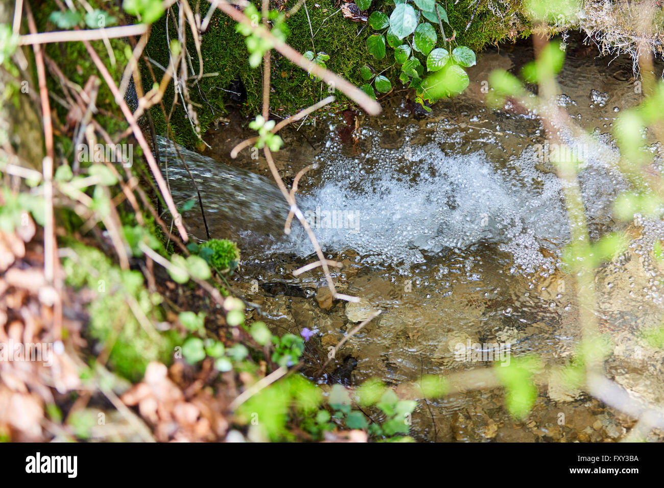 Small stream of water in the forest with a little waterfall Stock Photo ...