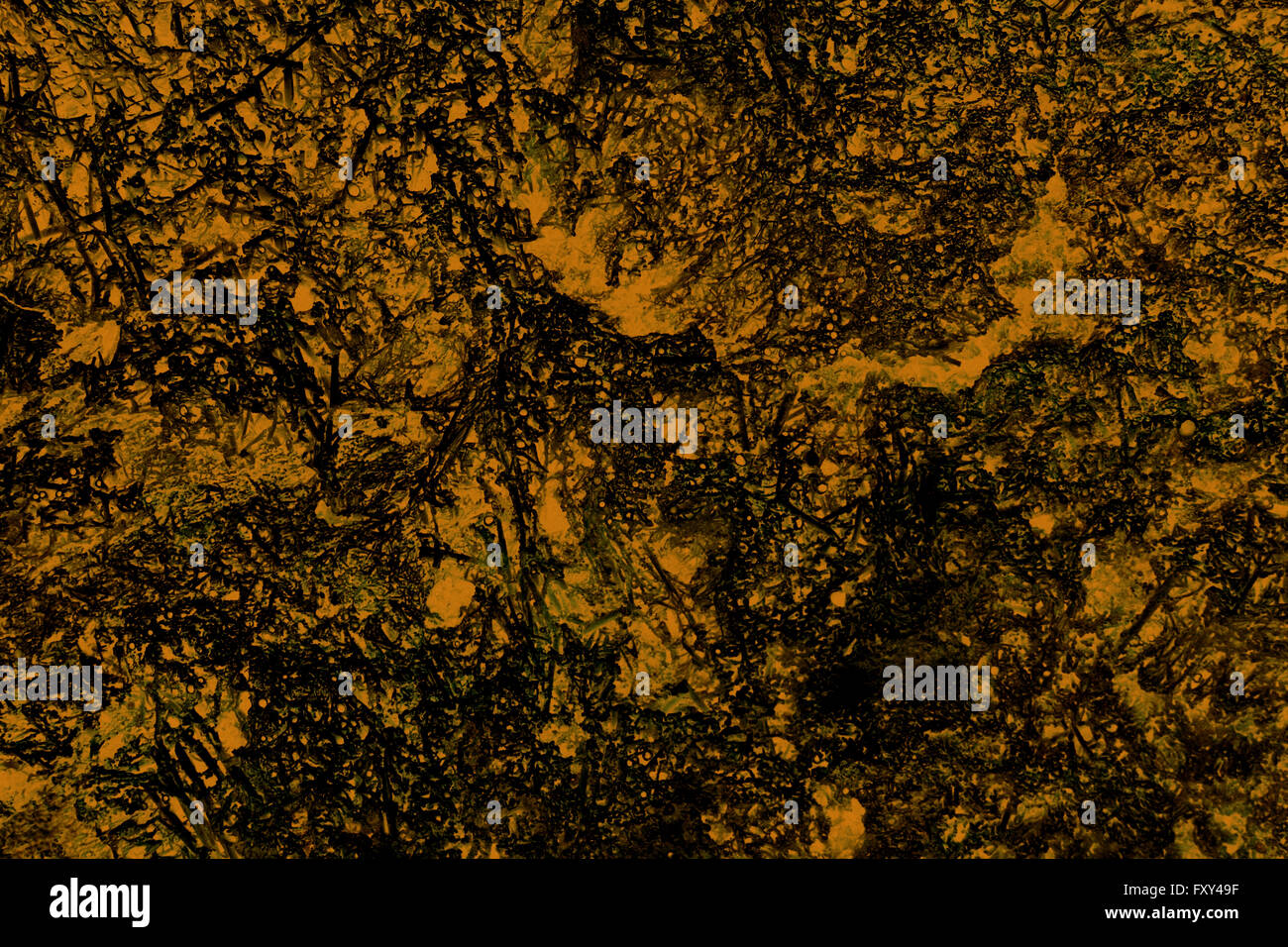 Branching veins hi-res stock photography and images - Alamy