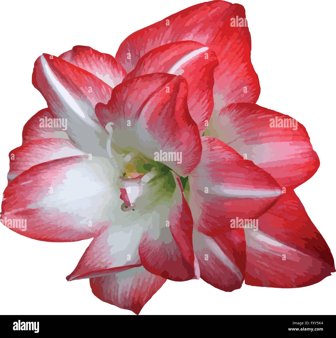 Close up spring blooming Stock Vector Images - Alamy