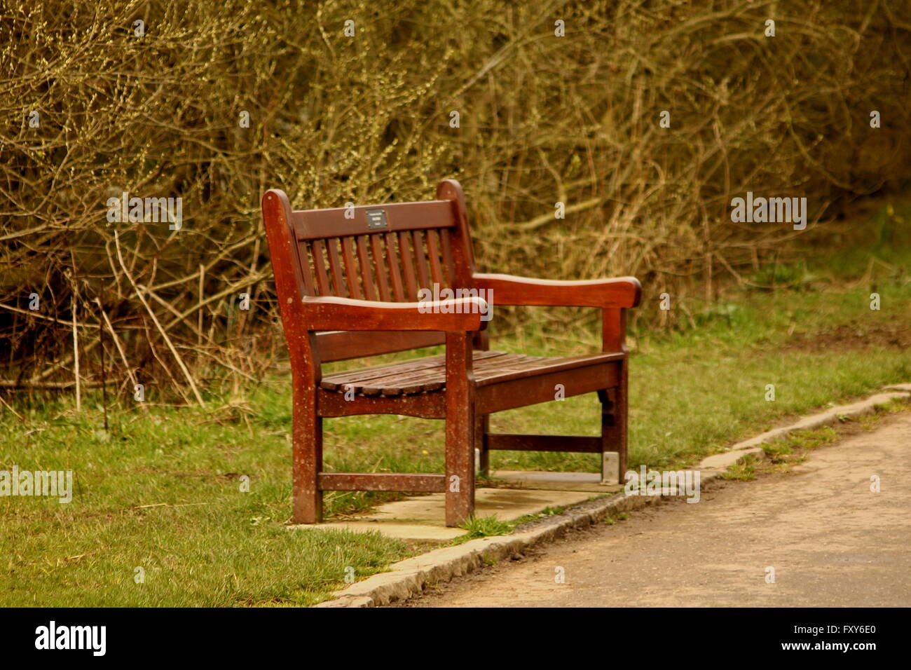Empty park bench Stock Photo - Alamy