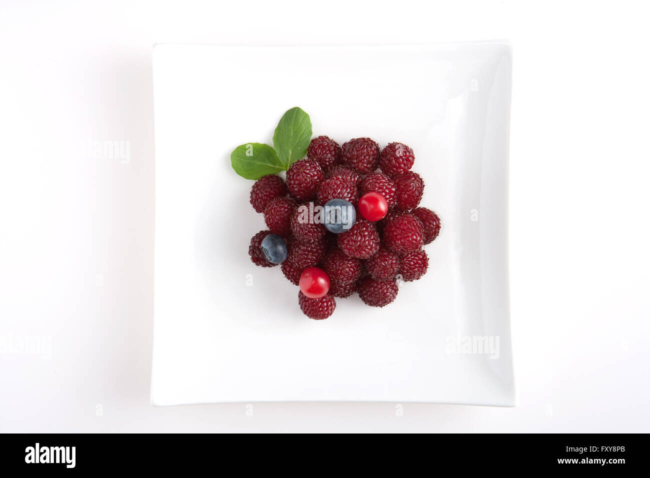 Fresh Object 025 Stock Photo - Alamy