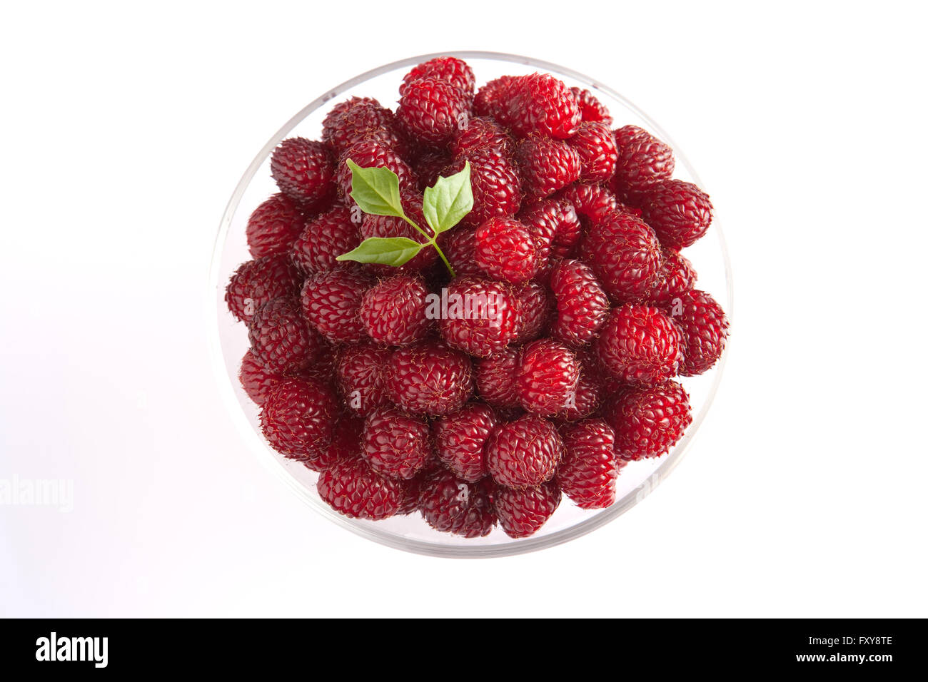Fresh Object 069 Stock Photo - Alamy