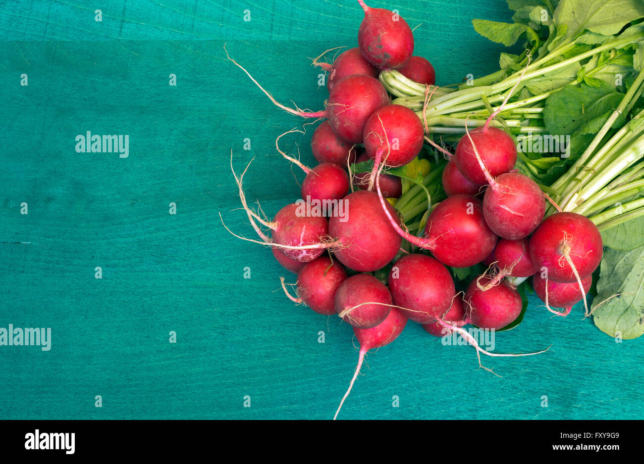 Fresh red radish Stock Photo - Alamy