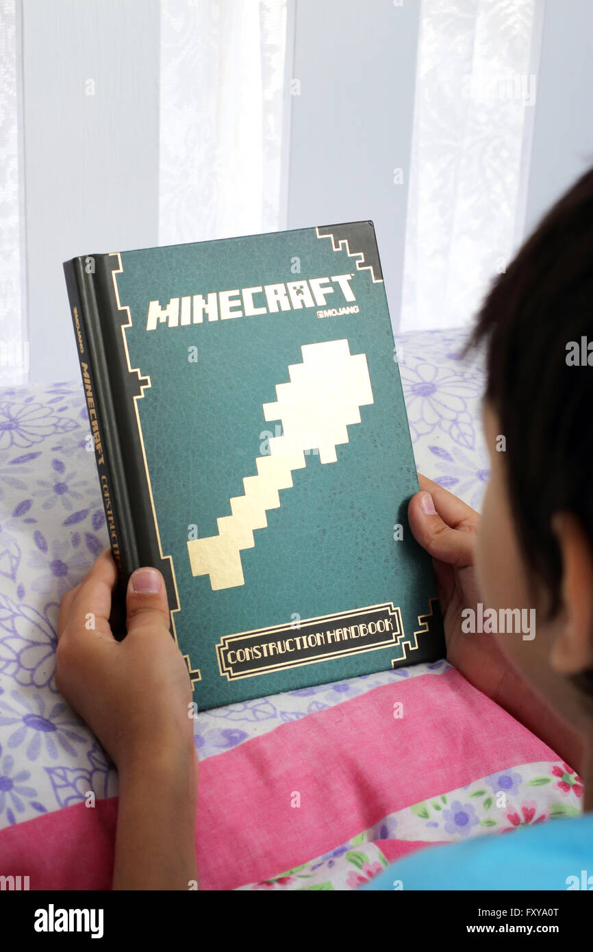 Minecraft book hi-res stock photography and images - Alamy