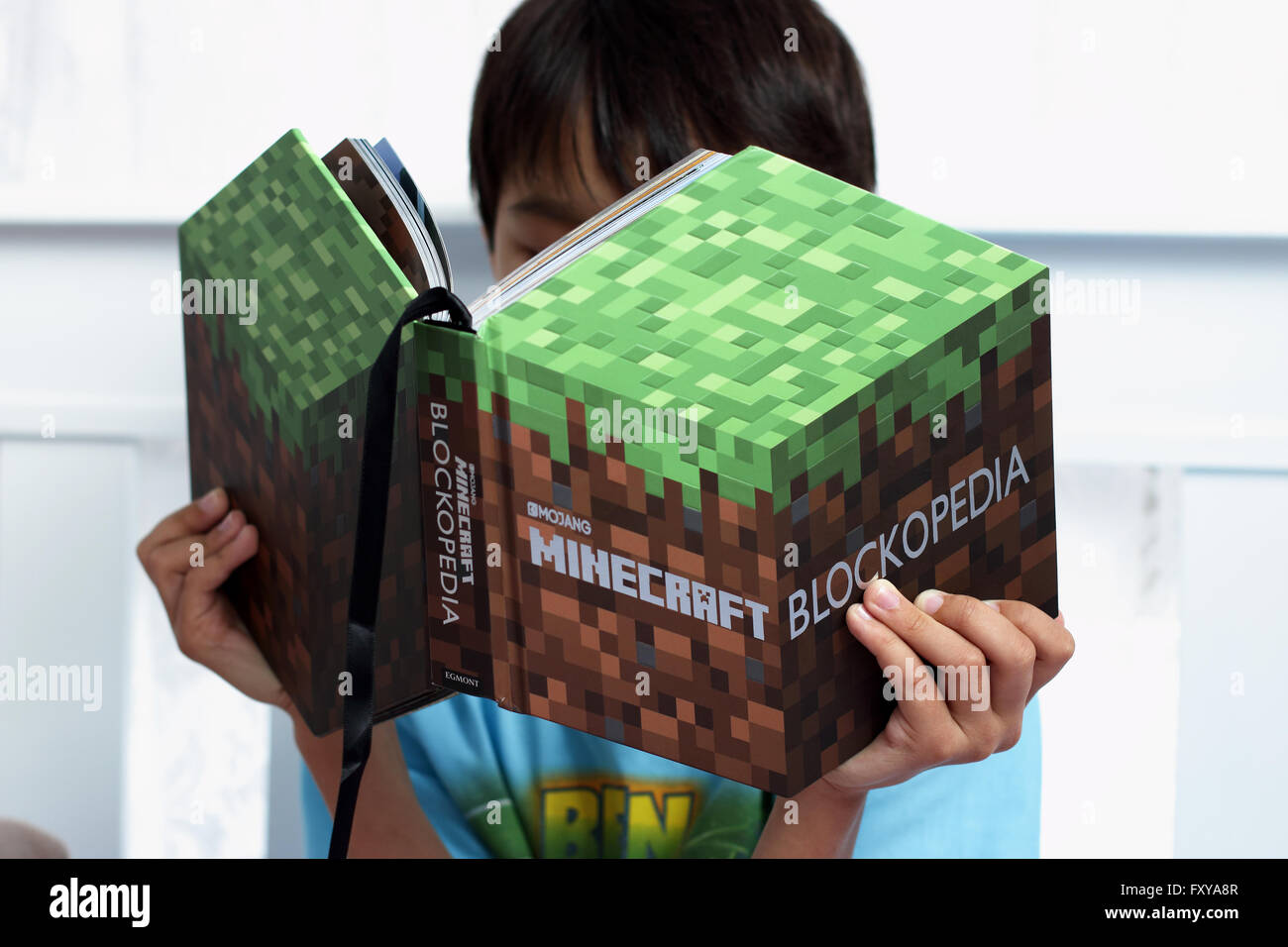 Minecraft book hi-res stock photography and images - Alamy