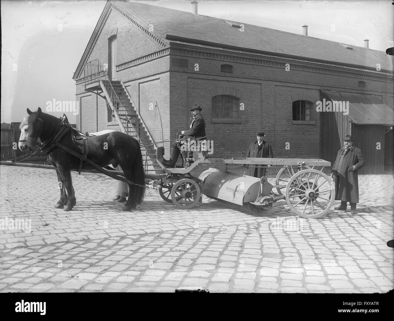 Pferden Black and White Stock Photos & Images - Alamy