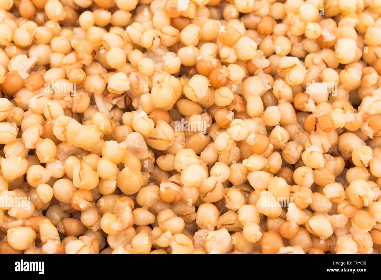 Cooked wheat in grain close up Stock Photo - Alamy
