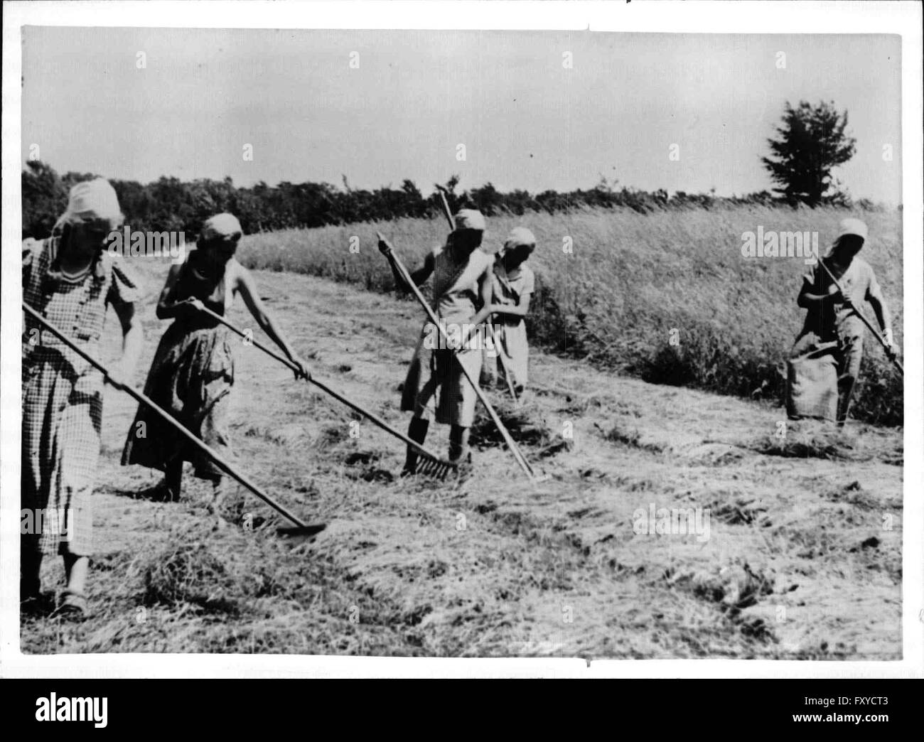 Heuernte heuernte hi-res stock photography and images - Alamy