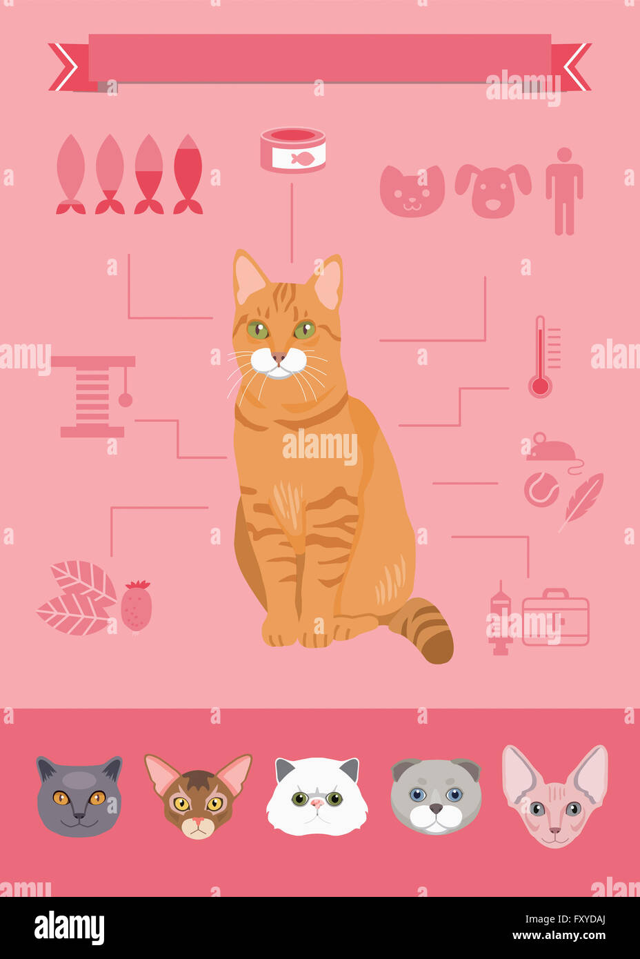 Cat with infographic datum and various faces of cats Stock Photo - Alamy