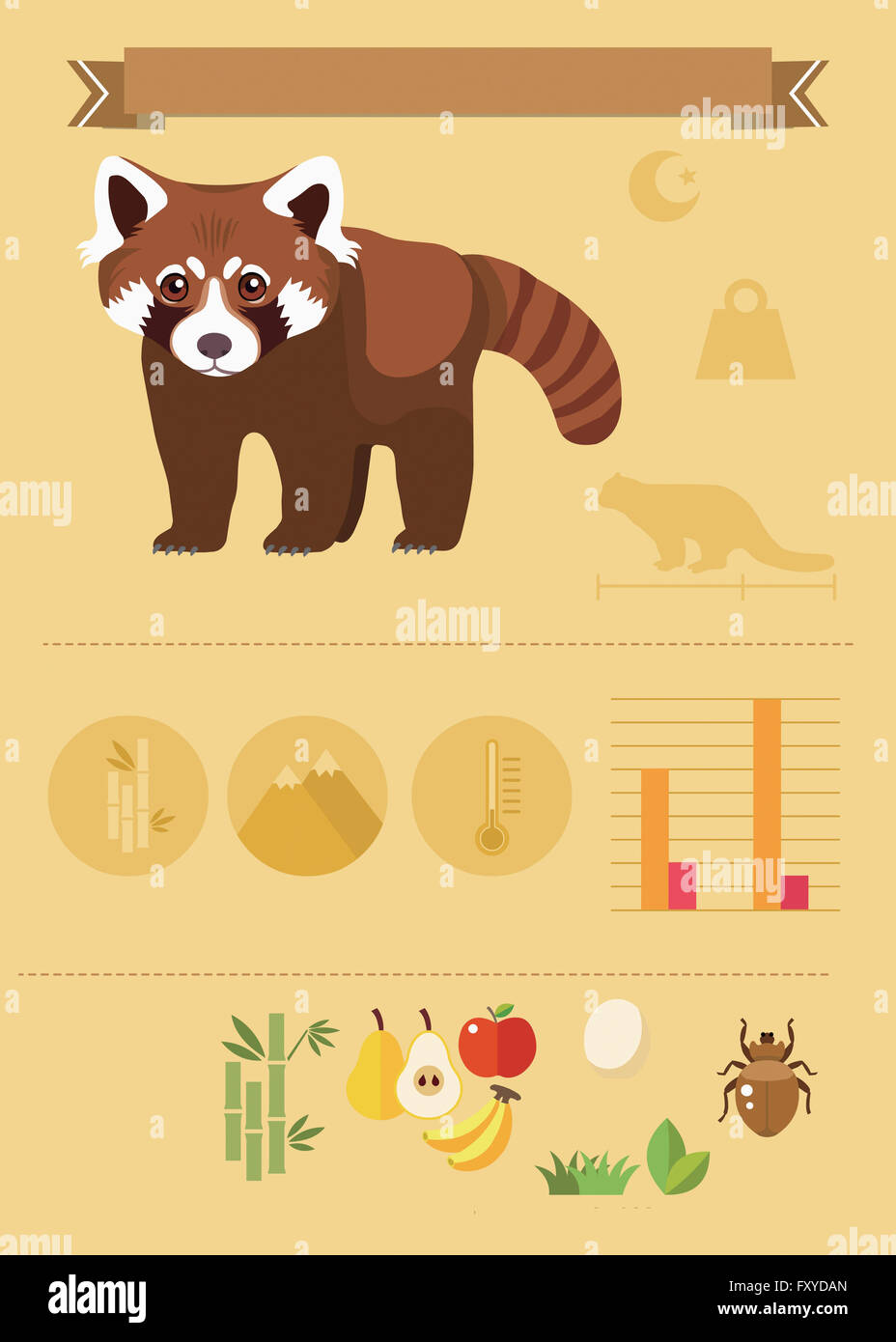Infographic Tutorials By A Raccoon