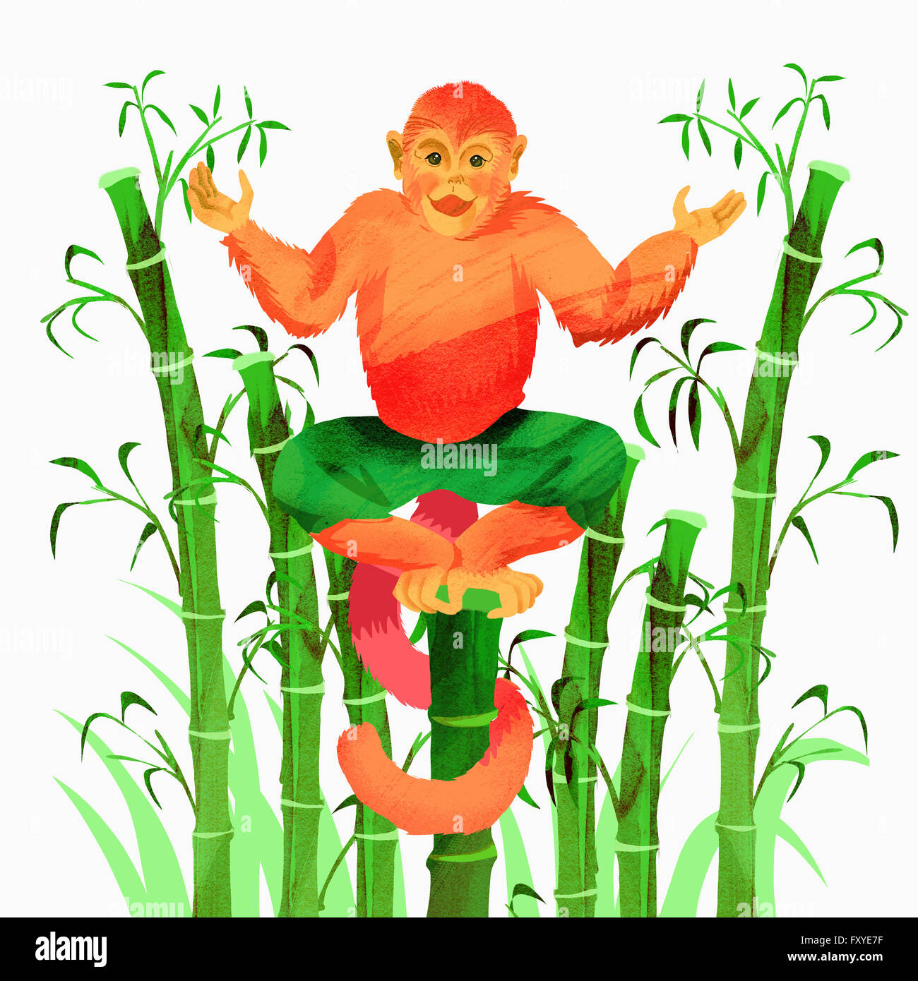 Monkey posing on bamboo trees Stock Photo - Alamy