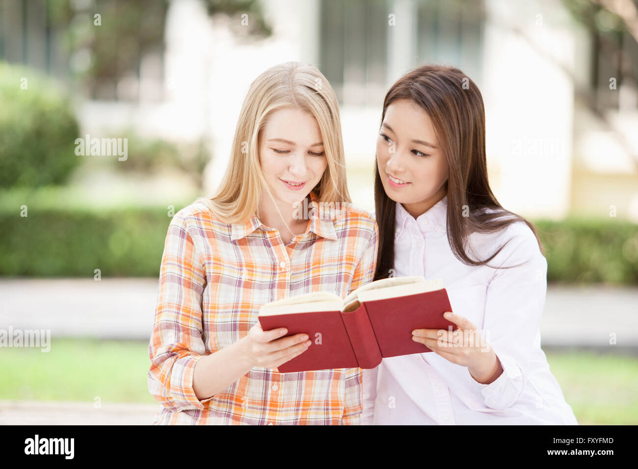 International student and domestic student in college reading a book ...