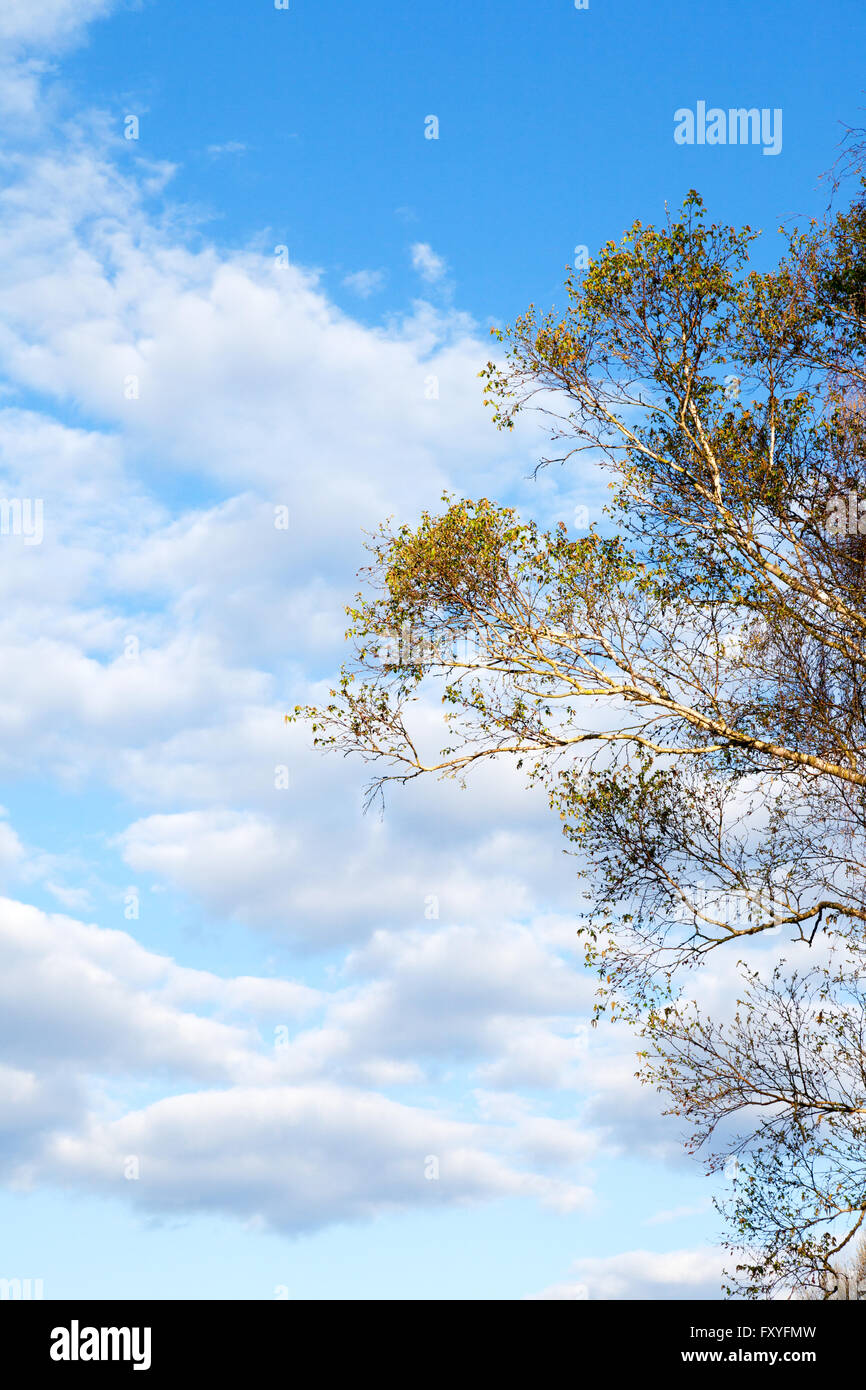 Uk clouds sky hi-res stock photography and images - Alamy