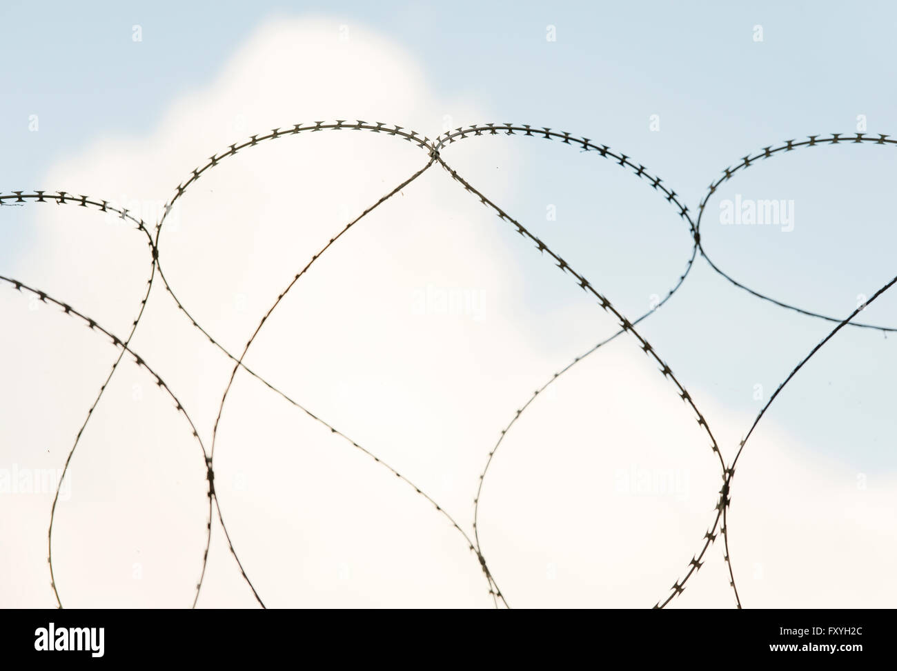 Barbed wire heart shape sky hi-res stock photography and images - Alamy