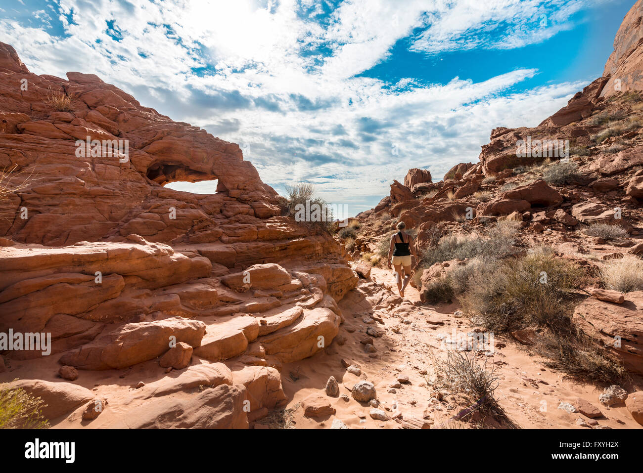 Hiker on the Rainbow Vista Trail, red orange sandstone rock, hiking ...