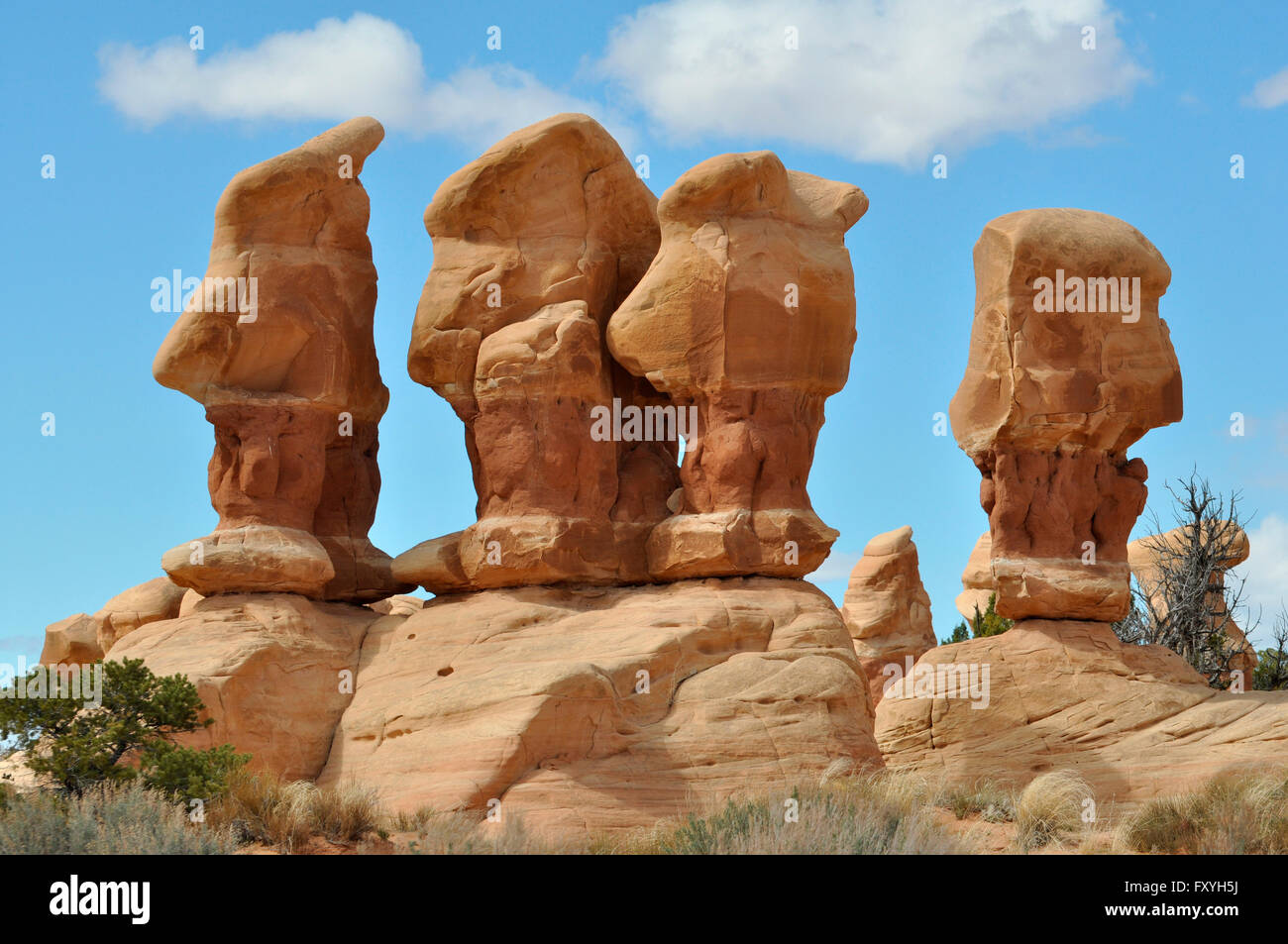 Petrified rocks hi-res stock photography and images - Alamy