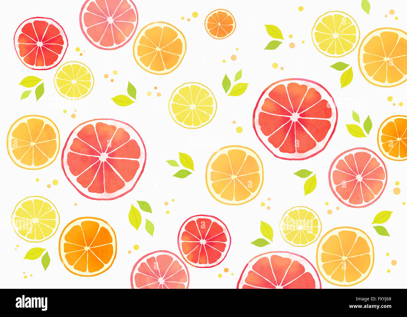 Patterns of cross sections of fruits, watercolor Stock Photo - Alamy