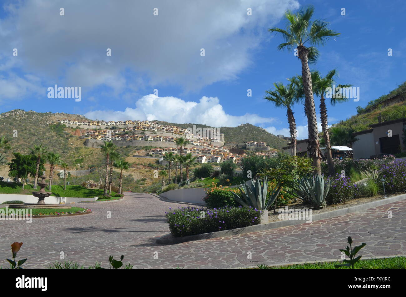 Hillside Villas and Landscaping Cabo San Lucas Mexico Stock Photo - Alamy