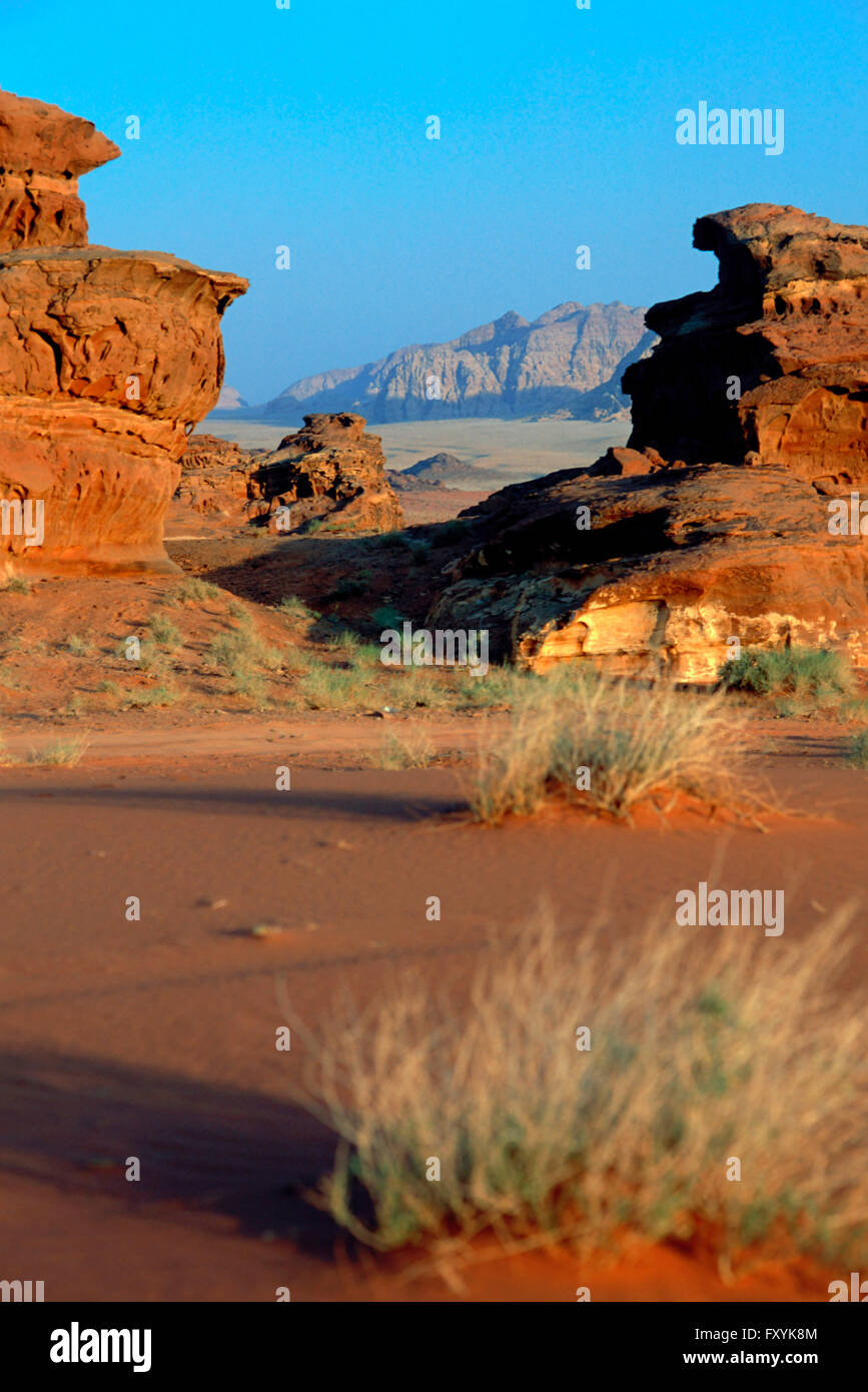 Asia el ajram hi-res stock photography and images - Alamy