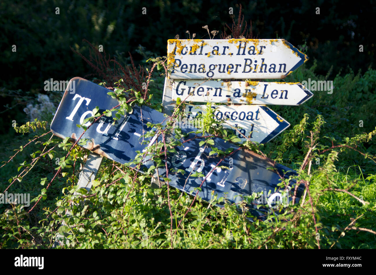 Overgrown Breton road signs near St-Michel en Greve, Cotes d'Armor ...