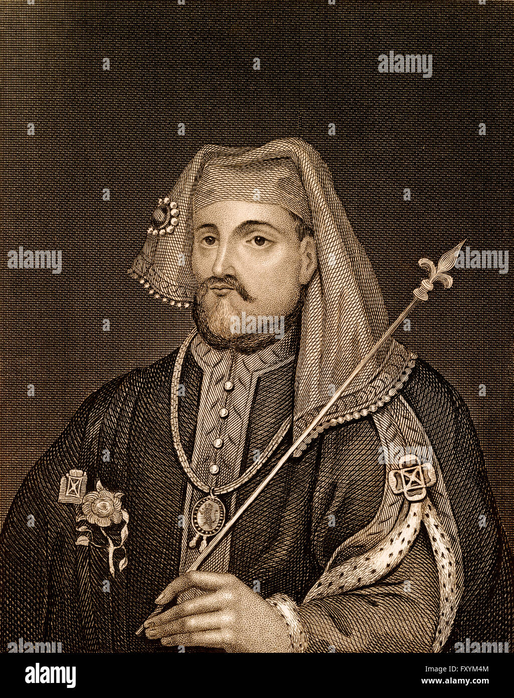 Male henry iv hi-res stock photography and images - Alamy
